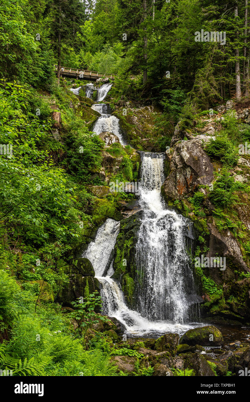 the waterfall cascade of triberg in the black forest, germany Stock ...
