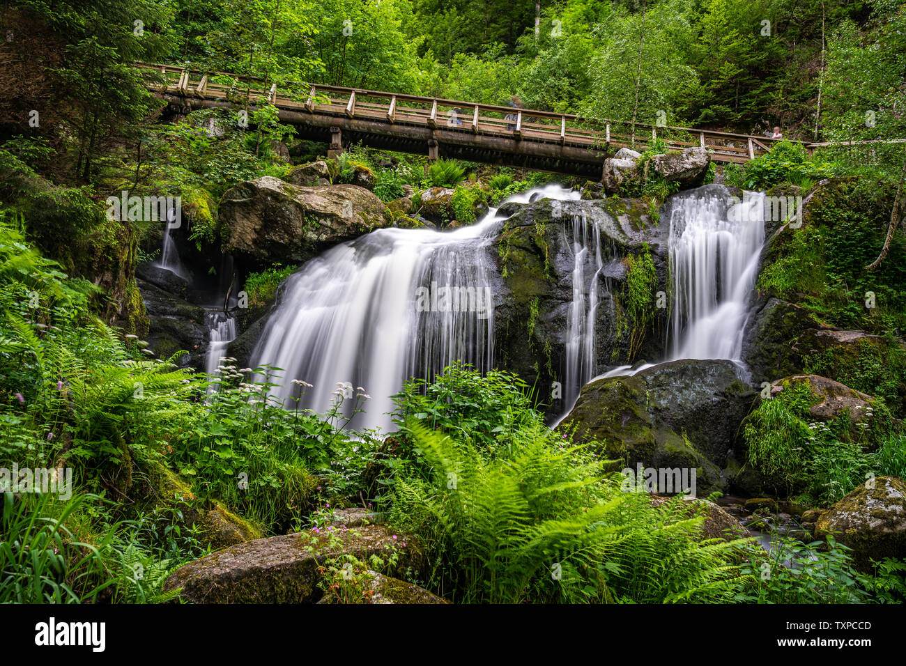 the waterfall cascade of triberg in the black forest, germany Stock ...
