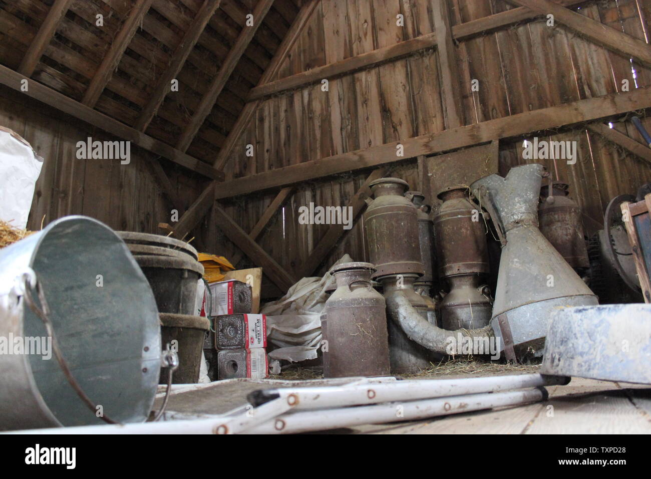 Farm tools including milk jugs stored inside the barn on the farm Stock ...