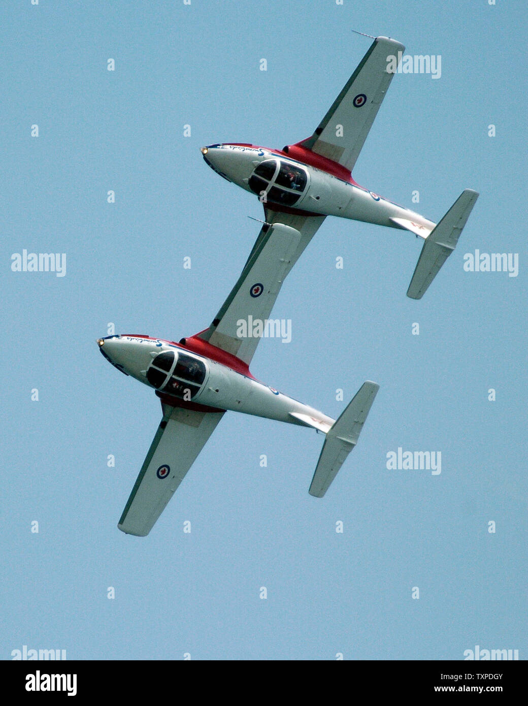 Ct marino hi-res stock photography and images - Alamy