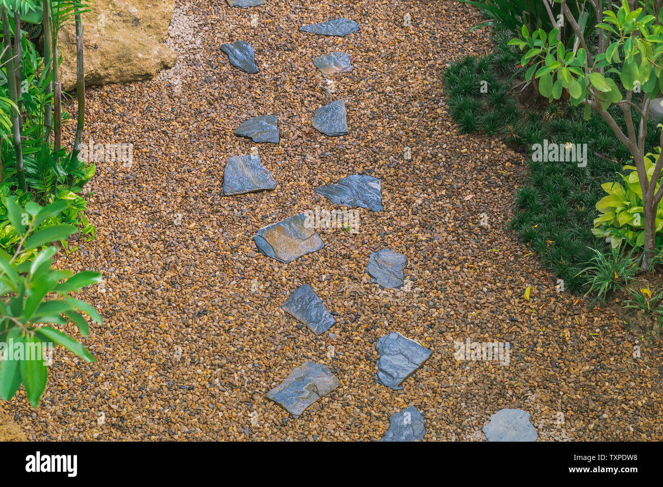 Top view of walkway in the garden and green shrub beside pathway.Garden ...