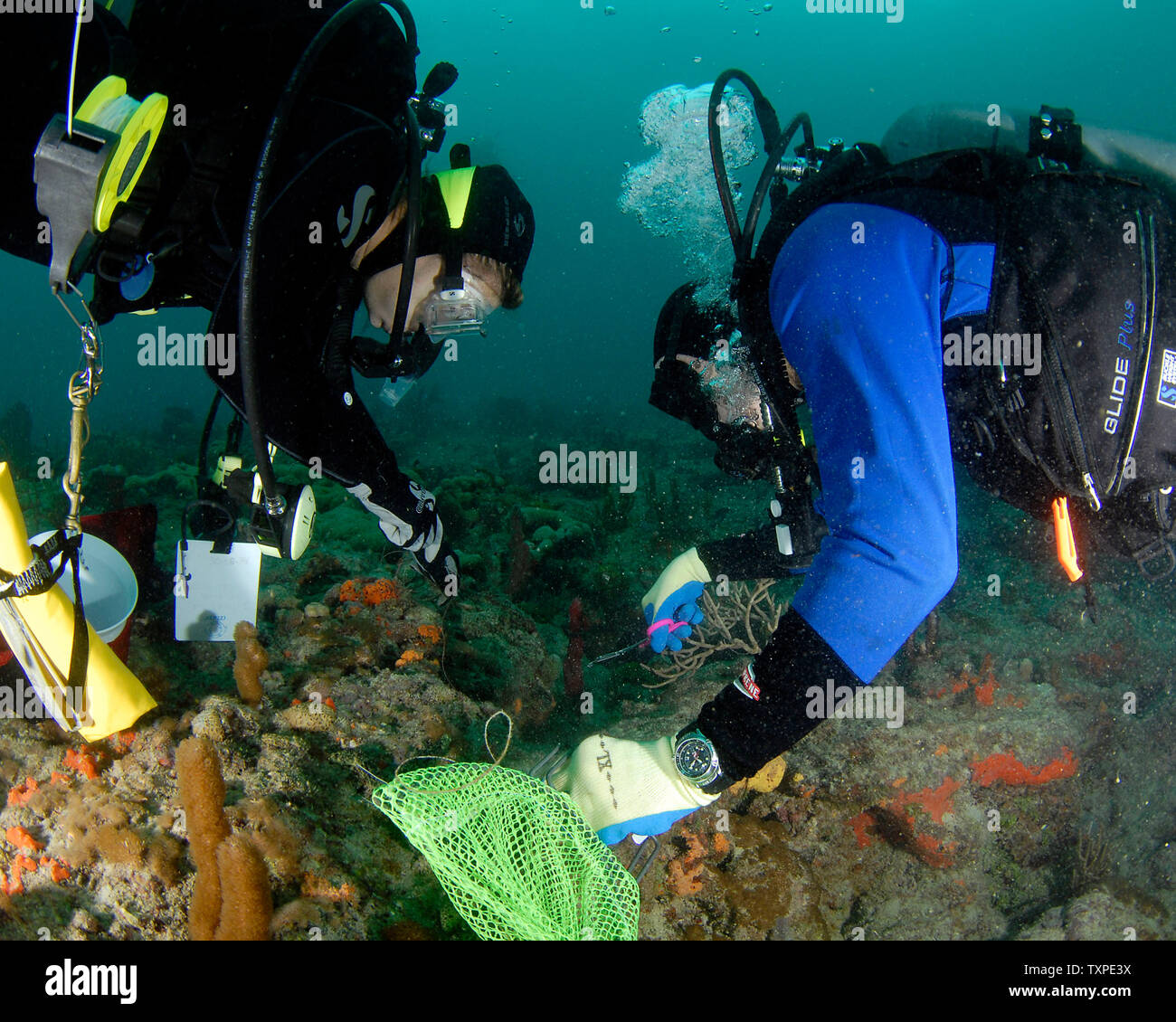 Joe welling hi-res stock photography and images - Alamy