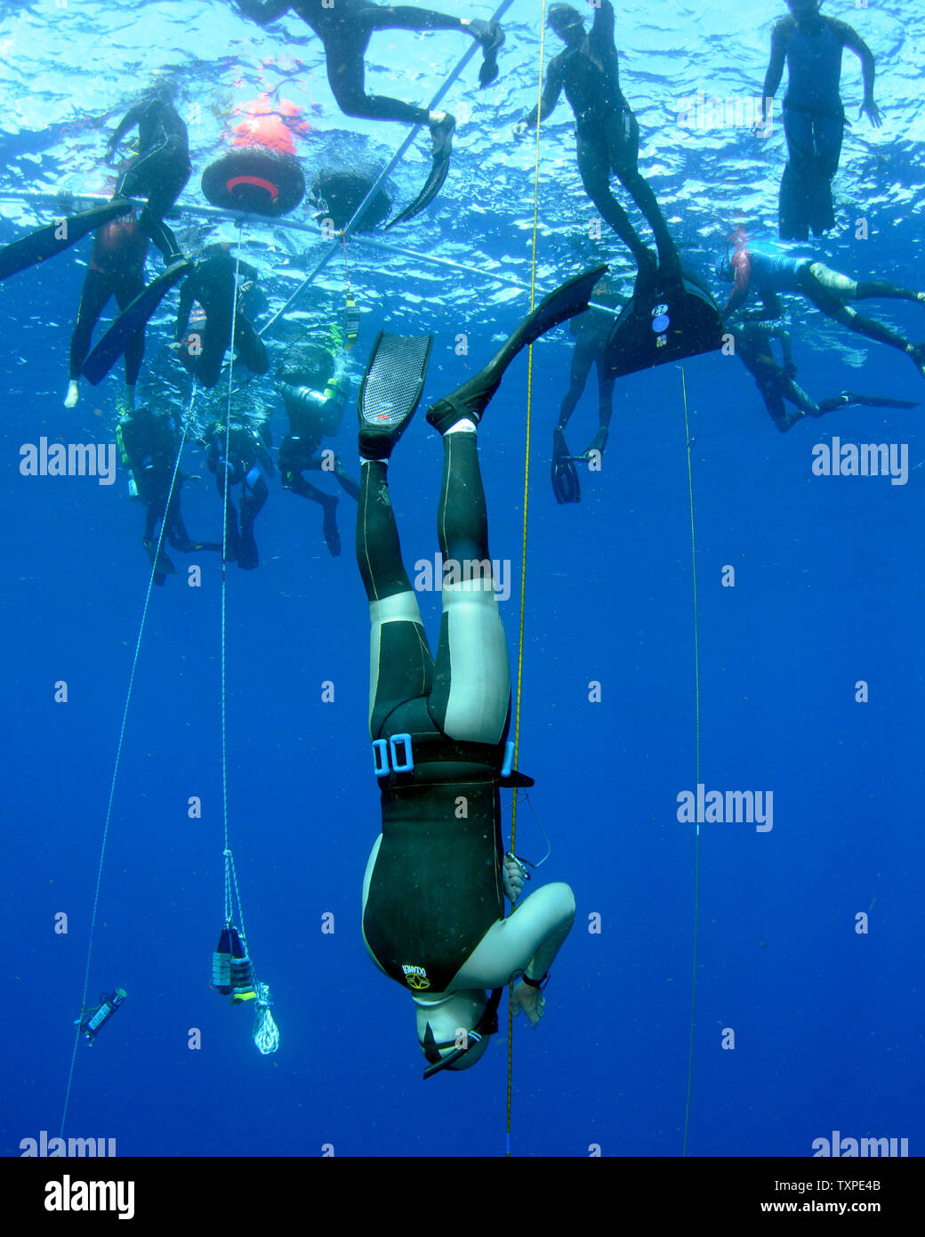 Freedivers from around the world practice at the first Gulfstream ...