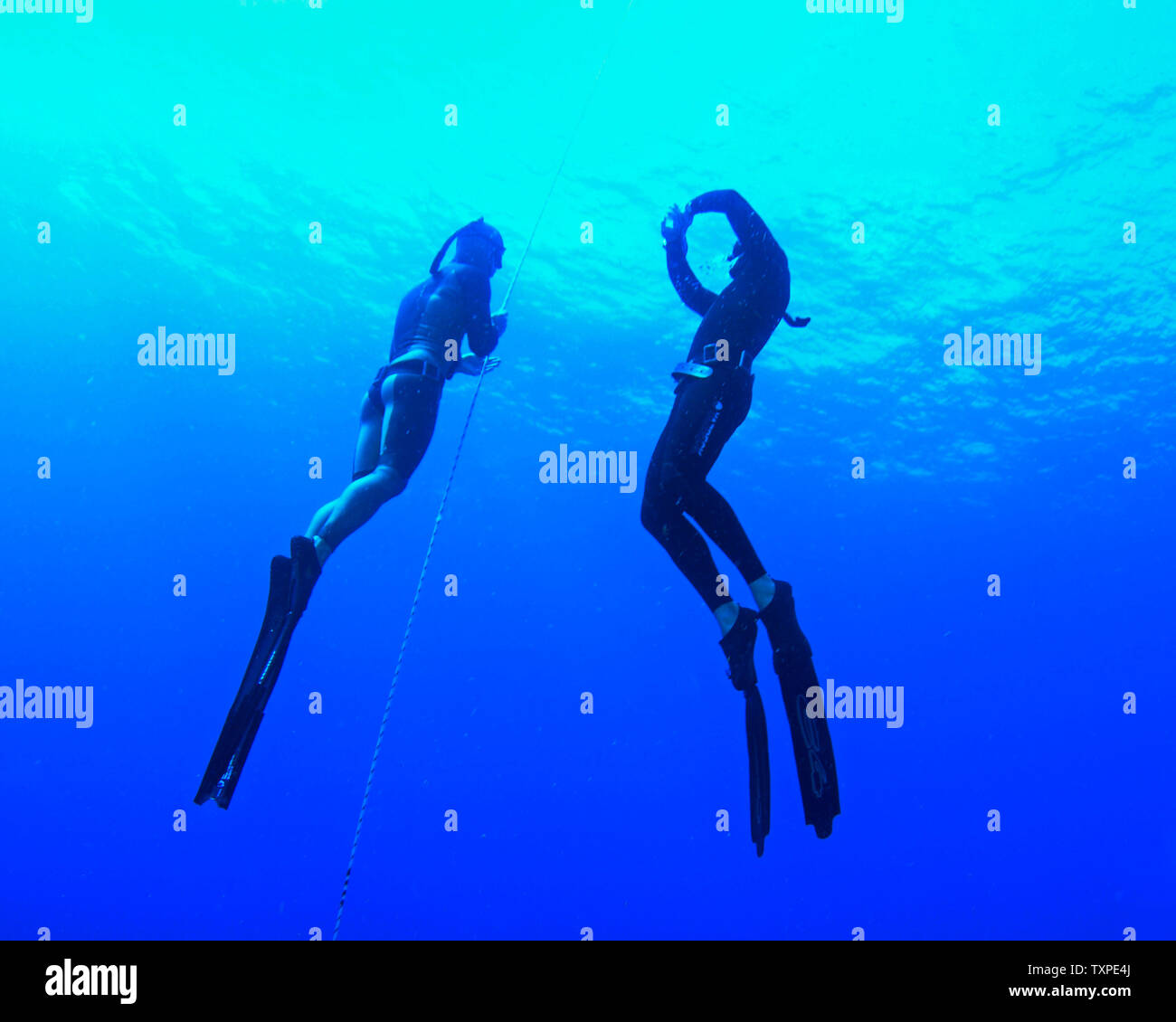 Freedivers compete in the Gulfstream Invitational Freediving ...