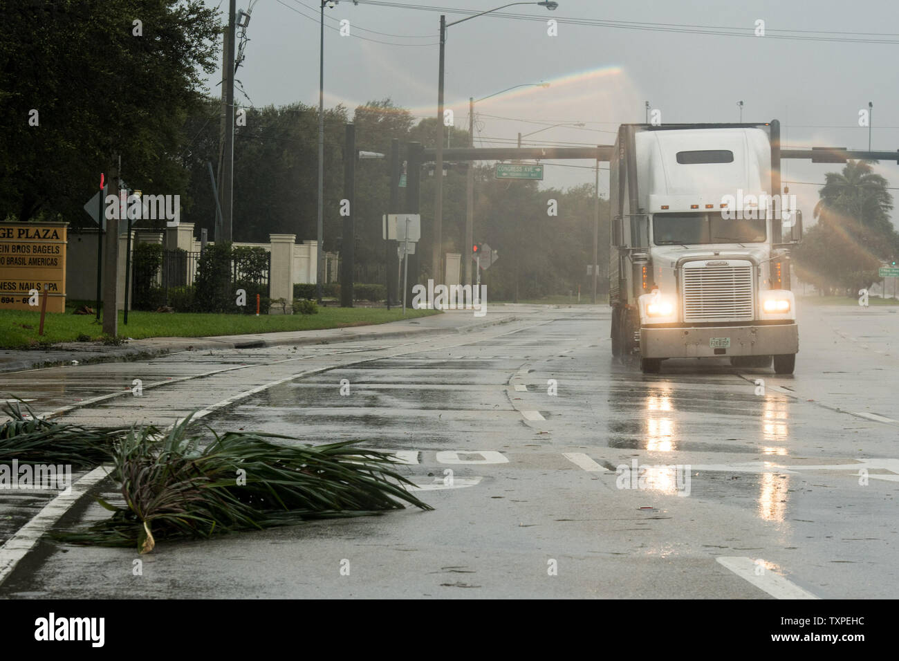 An eighteen wheeler navigates through palm tree leaves blown by ...