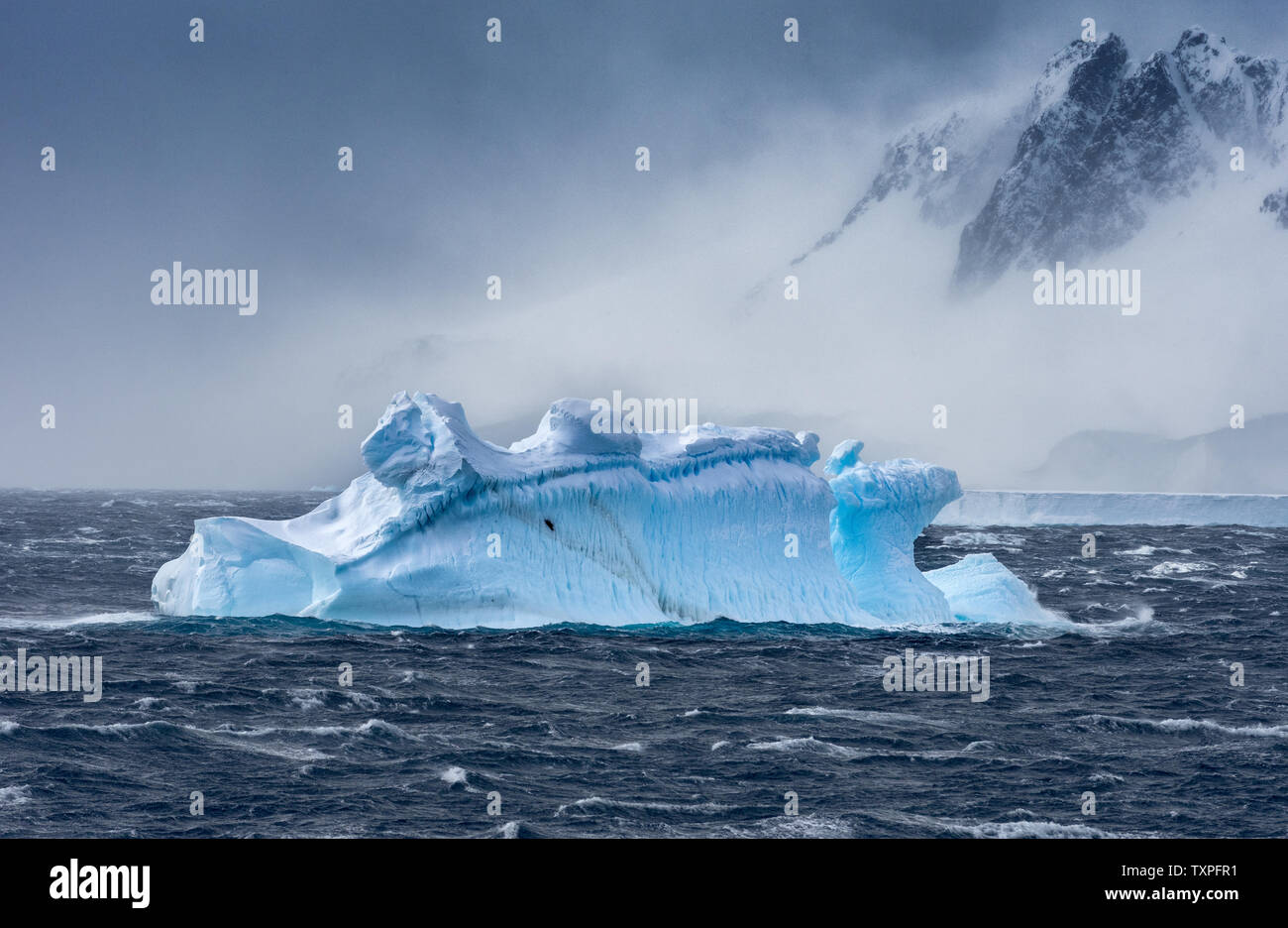 Massive iceberg floating in the Southern Ocean, Antarctica Stock Photo ...