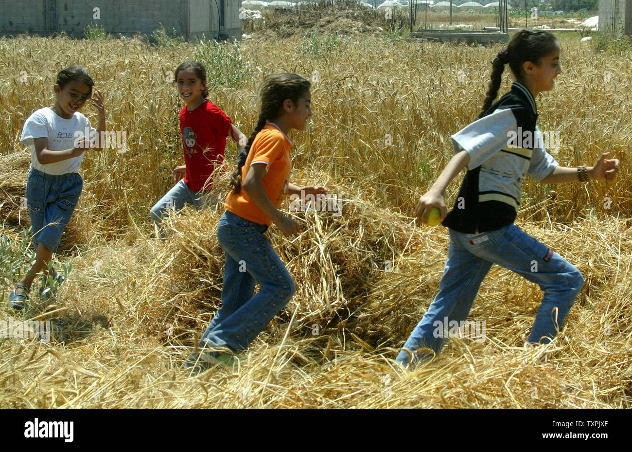 Israeli settlements produce hi-res stock photography and images - Alamy