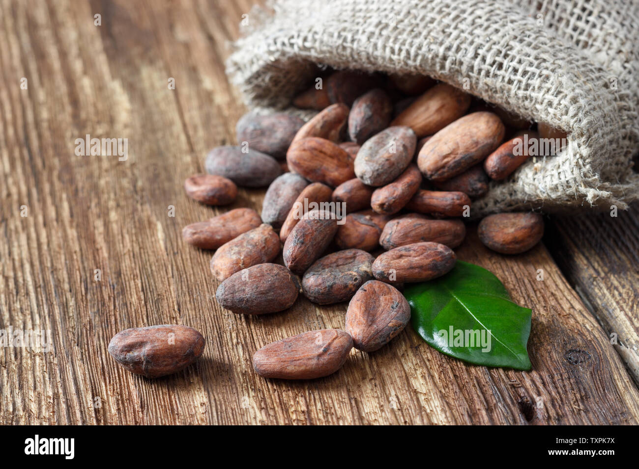 Cocoa beans in sack hi-res stock photography and images - Alamy