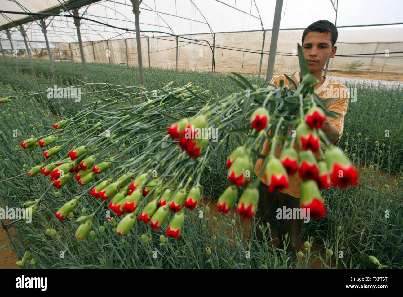 Farmer blockade hi-res stock photography and images - Alamy