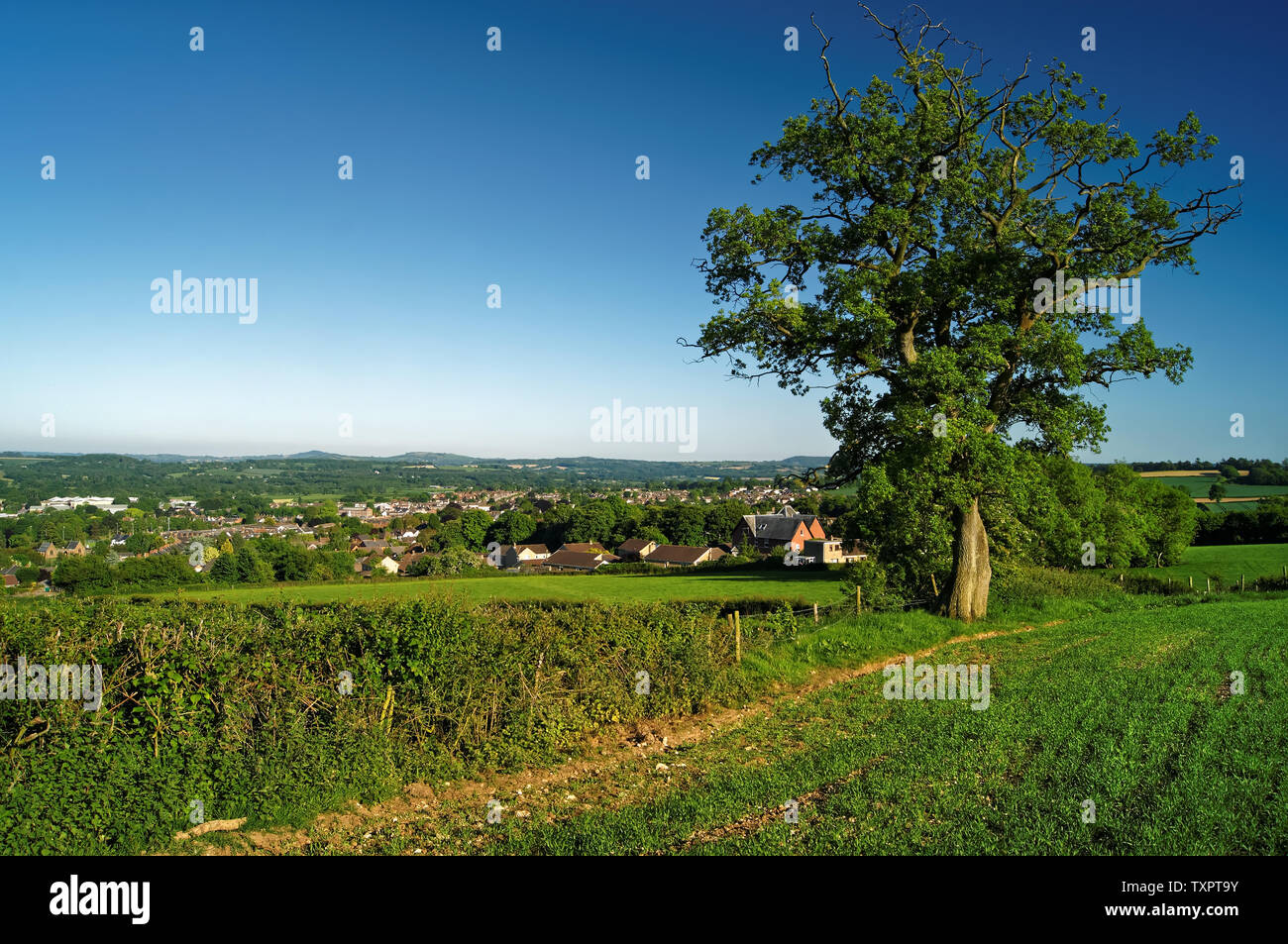 Chard cemetery hi-res stock photography and images - Alamy