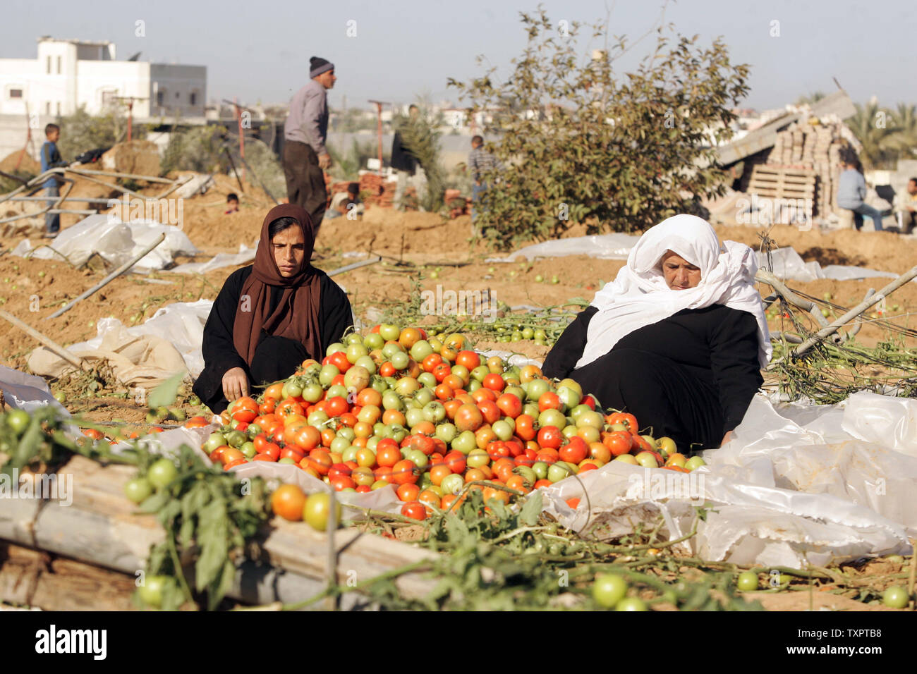 Destroyed Farm High Resolution Stock Photography and Images - Alamy