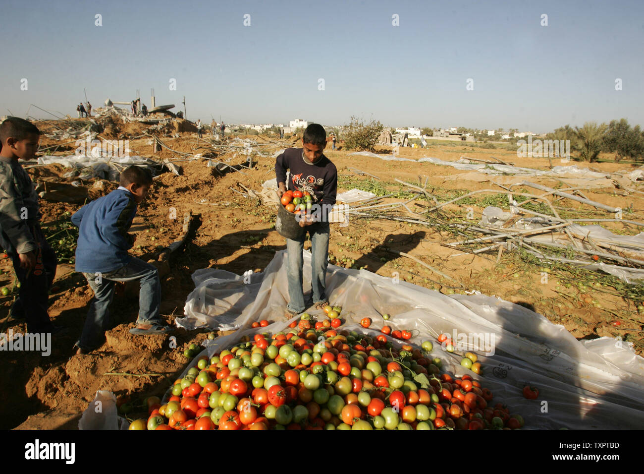 Palestinian farmers inspect a destroyed farm demolished during an ...
