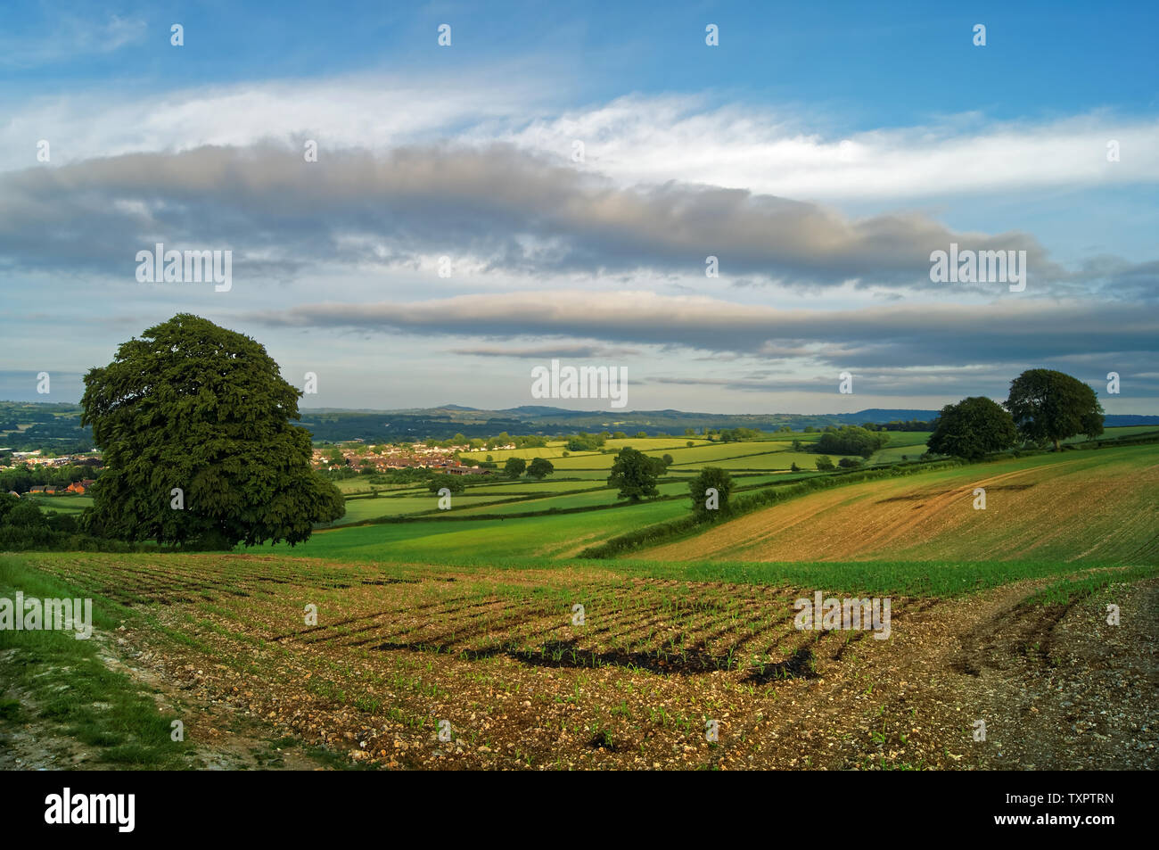 Chard view hi-res stock photography and images - Alamy