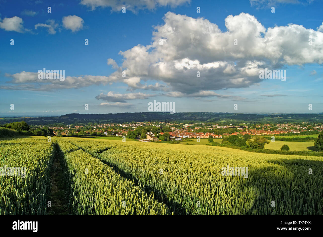 Chard guildhall hi-res stock photography and images - Alamy