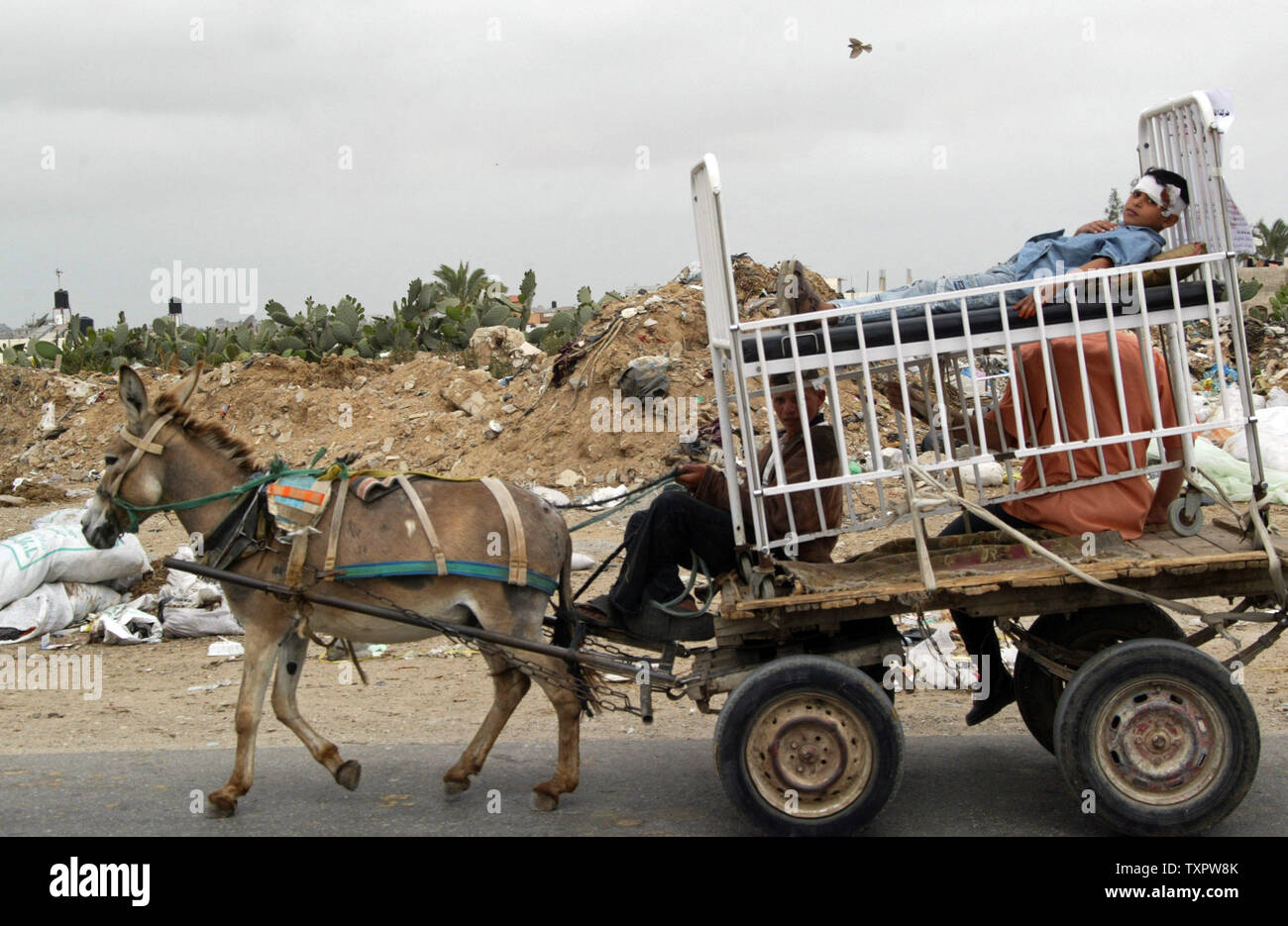 Soldiers on donkey carts hi-res stock photography and images - Alamy