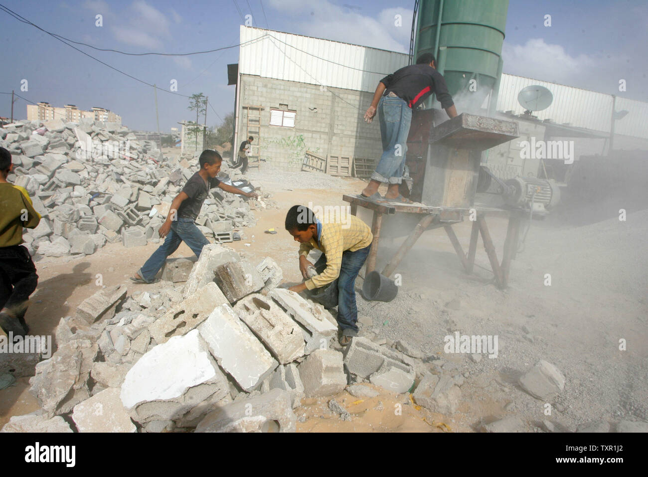 Plant egypt factory hi-res stock photography and images - Alamy