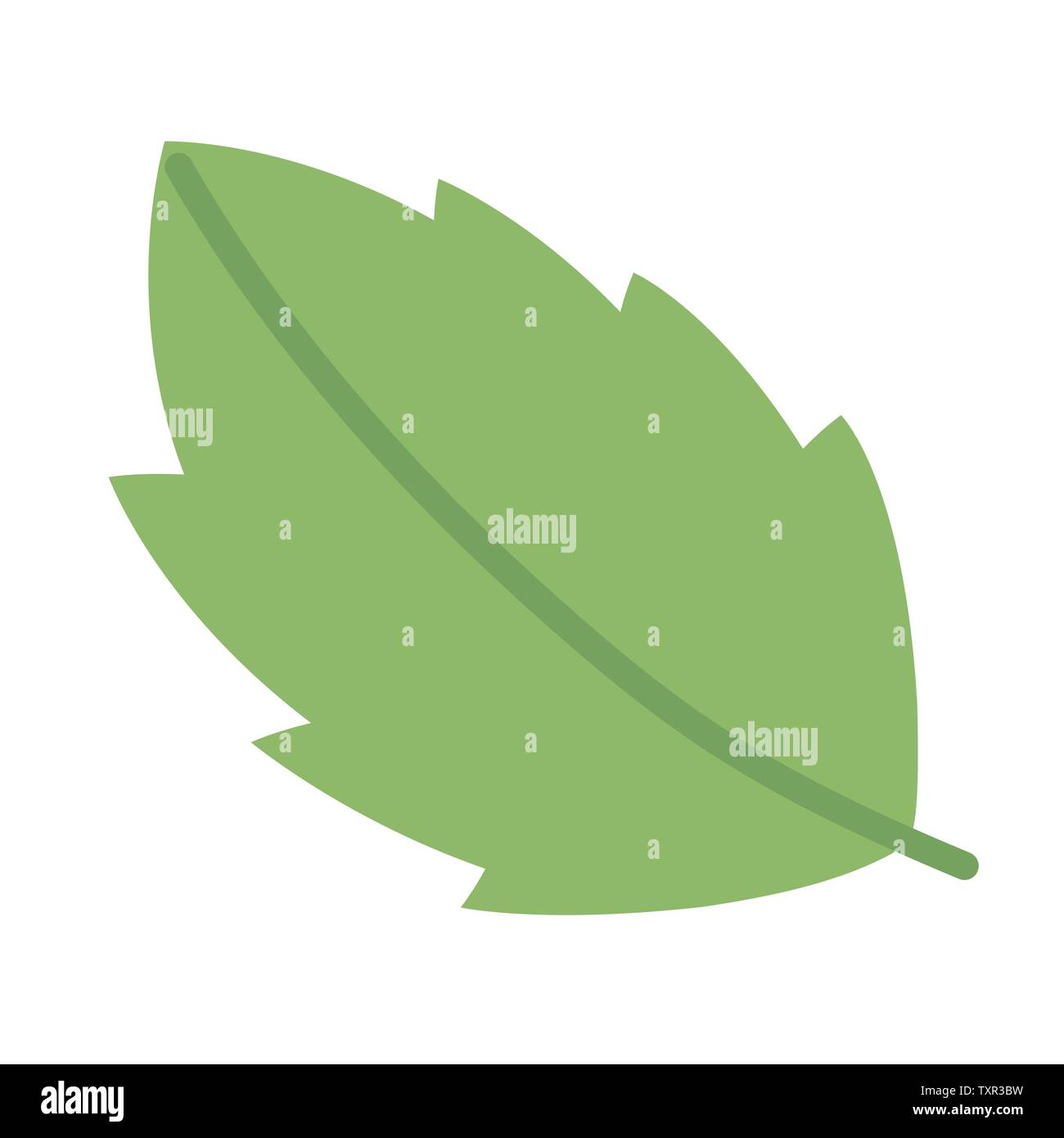 Leaf design, Plant floral garden nature decoration ornament and season ...