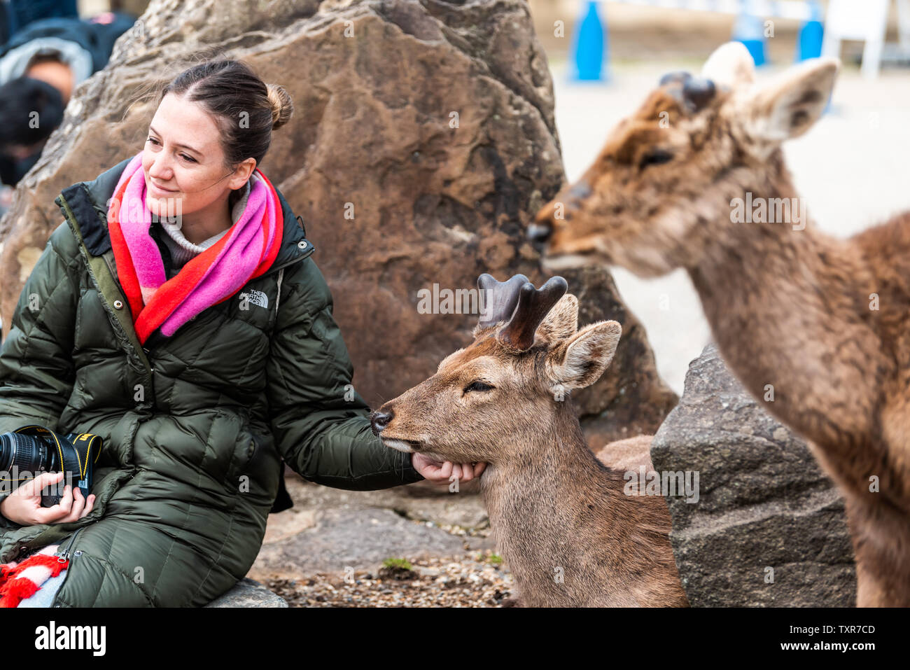 Nara, Japan - April 14, 2019: People woman on street in downtown city ...