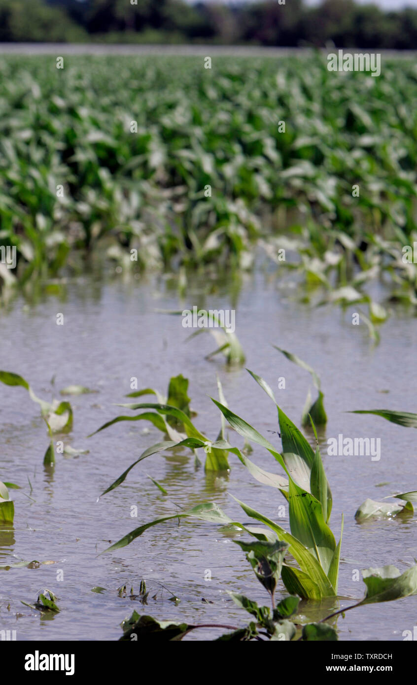 Gregory landing hi-res stock photography and images - Alamy