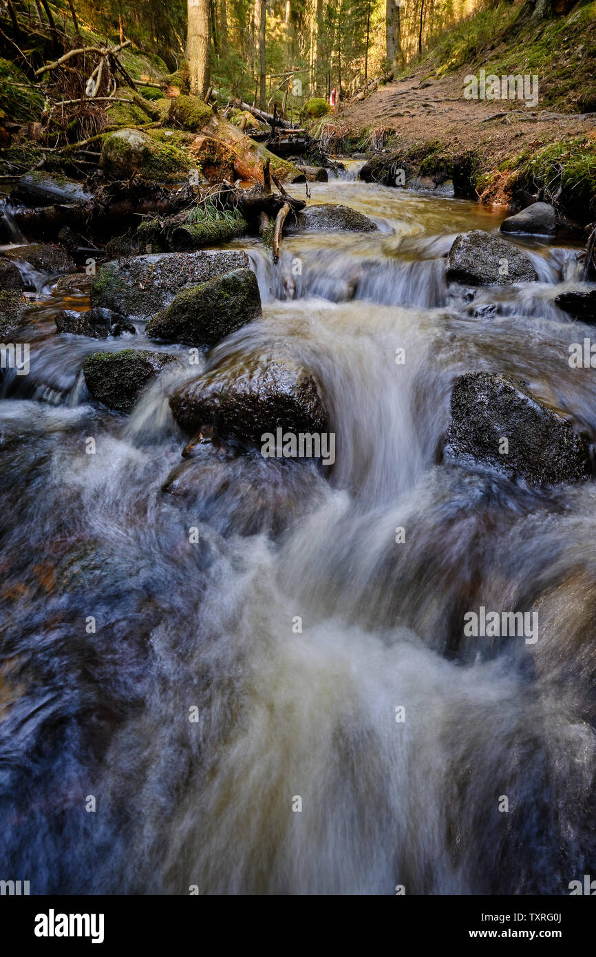 small waterfall in a stream surrounded by forest Stock Photo - Alamy