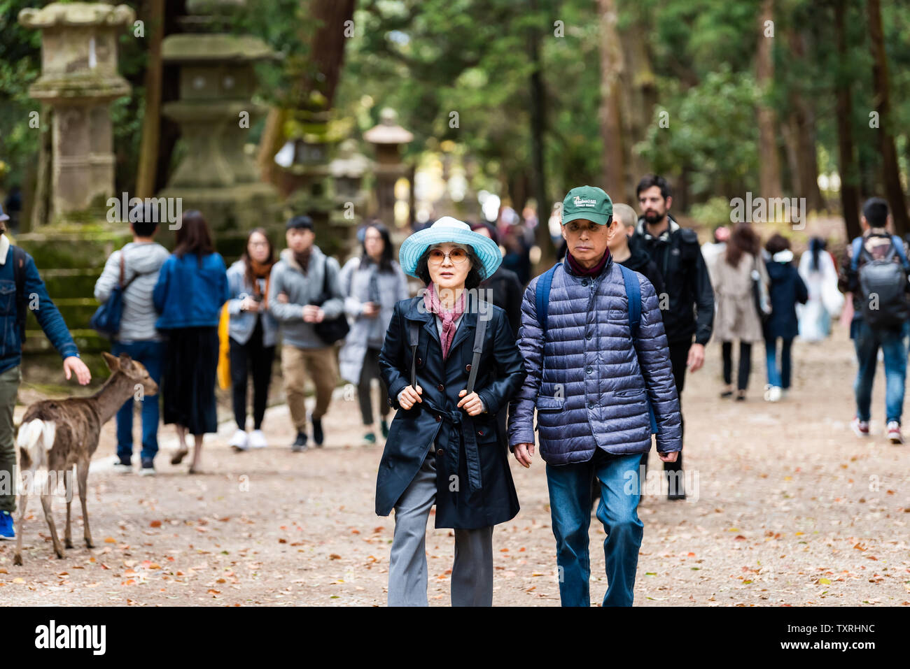 Nara, Japan - April 14, 2019: People walking by Kasuga jinja taisha ...