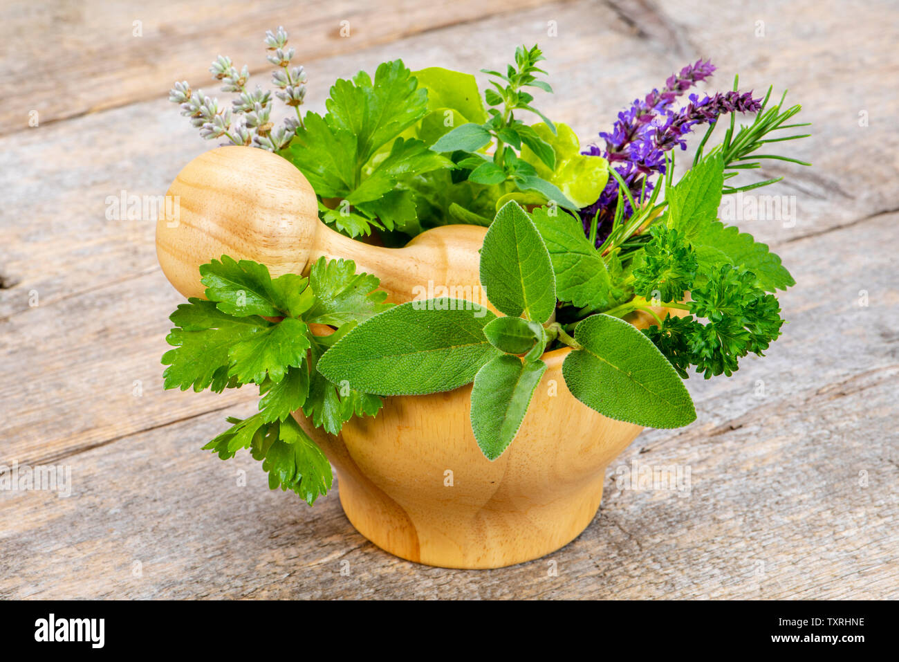 Homeopathic plants hi-res stock photography and images - Alamy