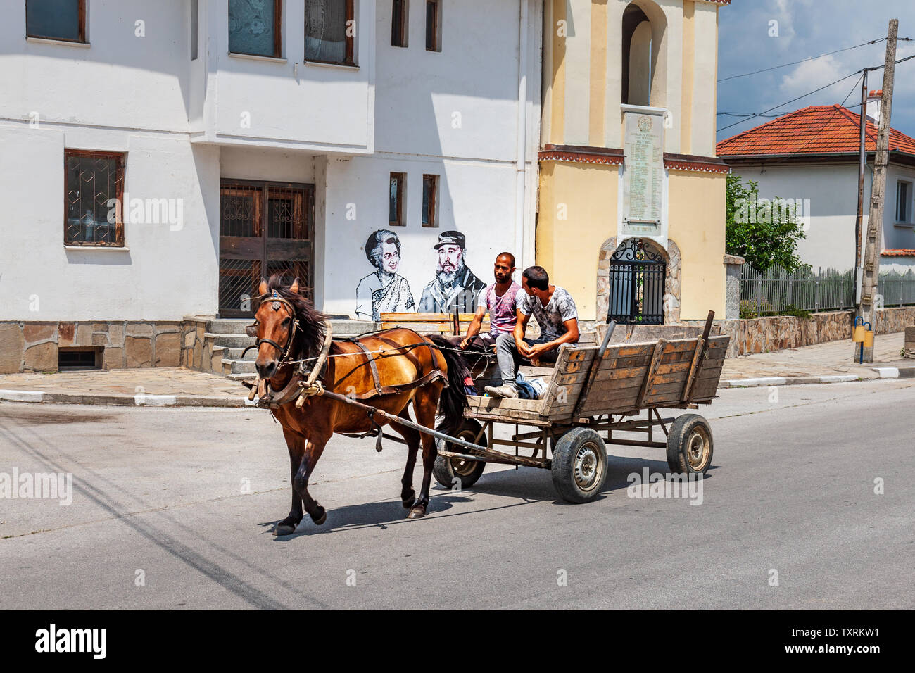 Gypsy horse and cart hi-res stock photography and images - Alamy