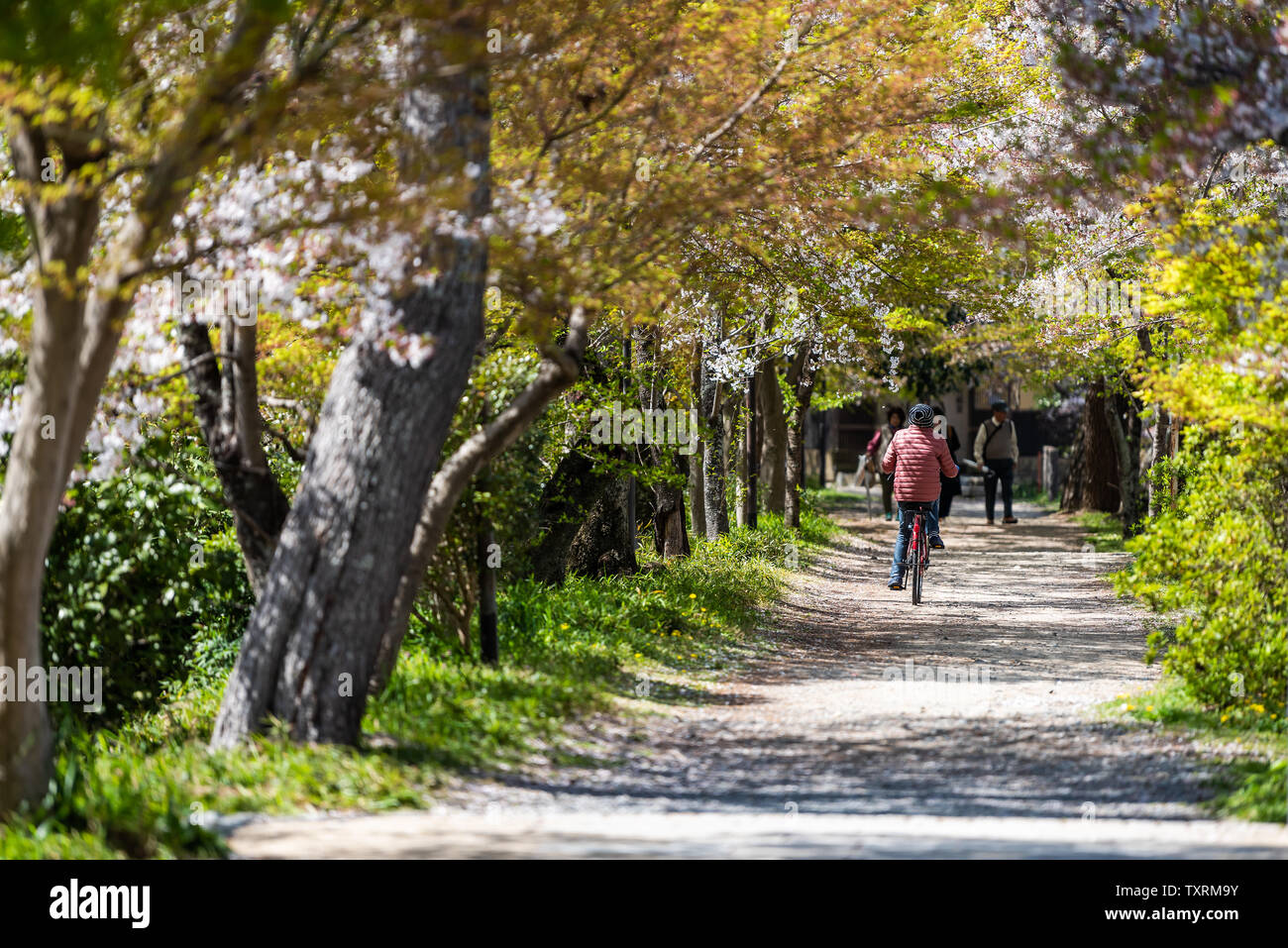 Uji, Japan - April 14, 2019: Trail road street path in spring in ...