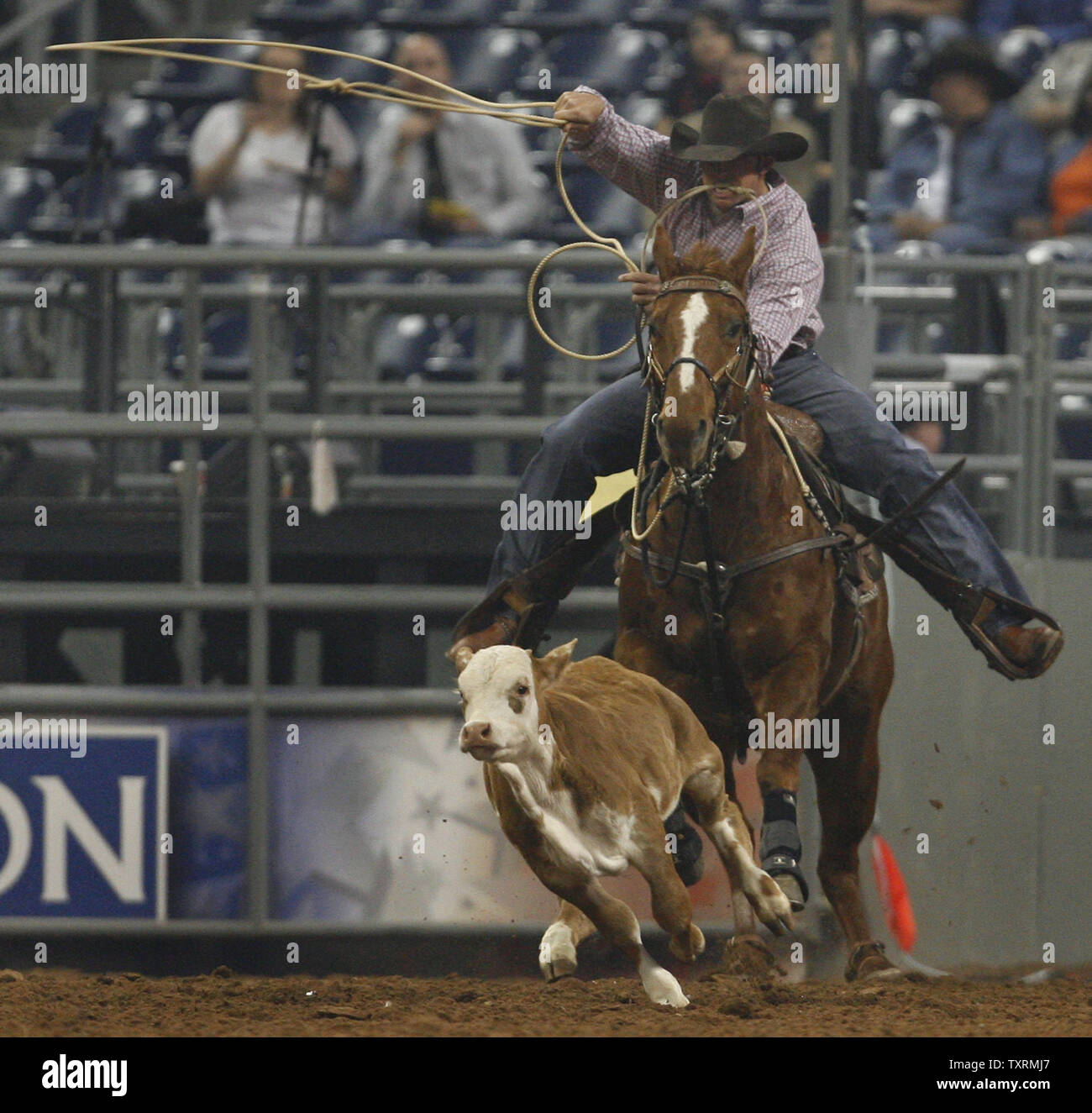 Calf roping texas hi-res stock photography and images - Alamy