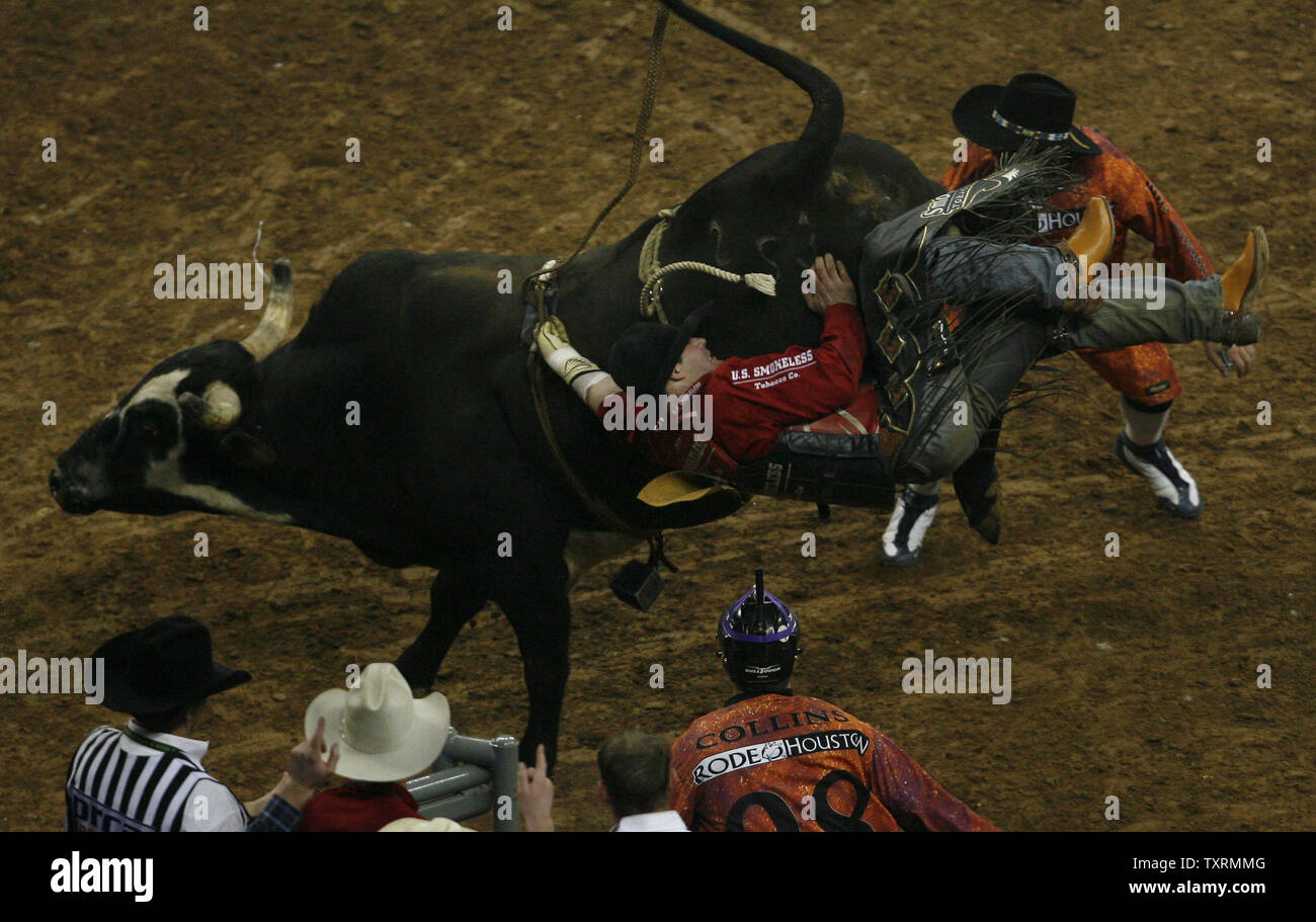 Xtreme bull hi-res stock photography and images - Alamy