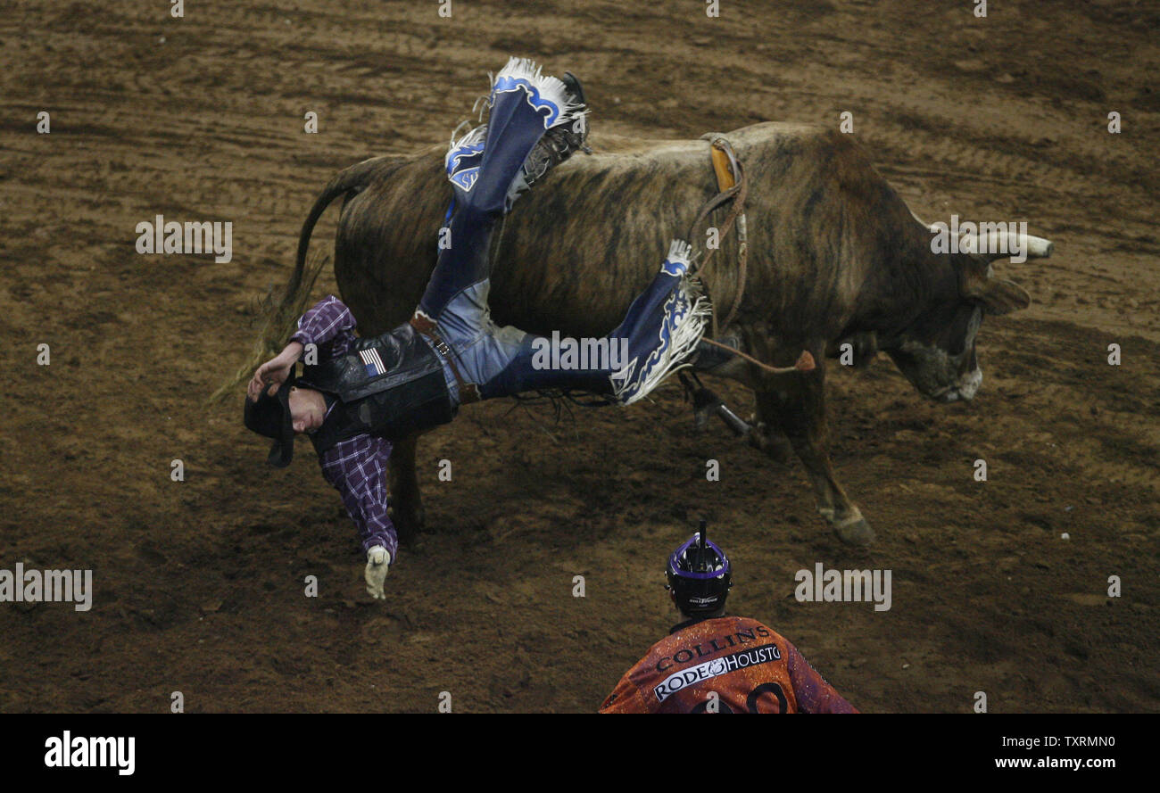 Jason and bull hi-res stock photography and images - Alamy