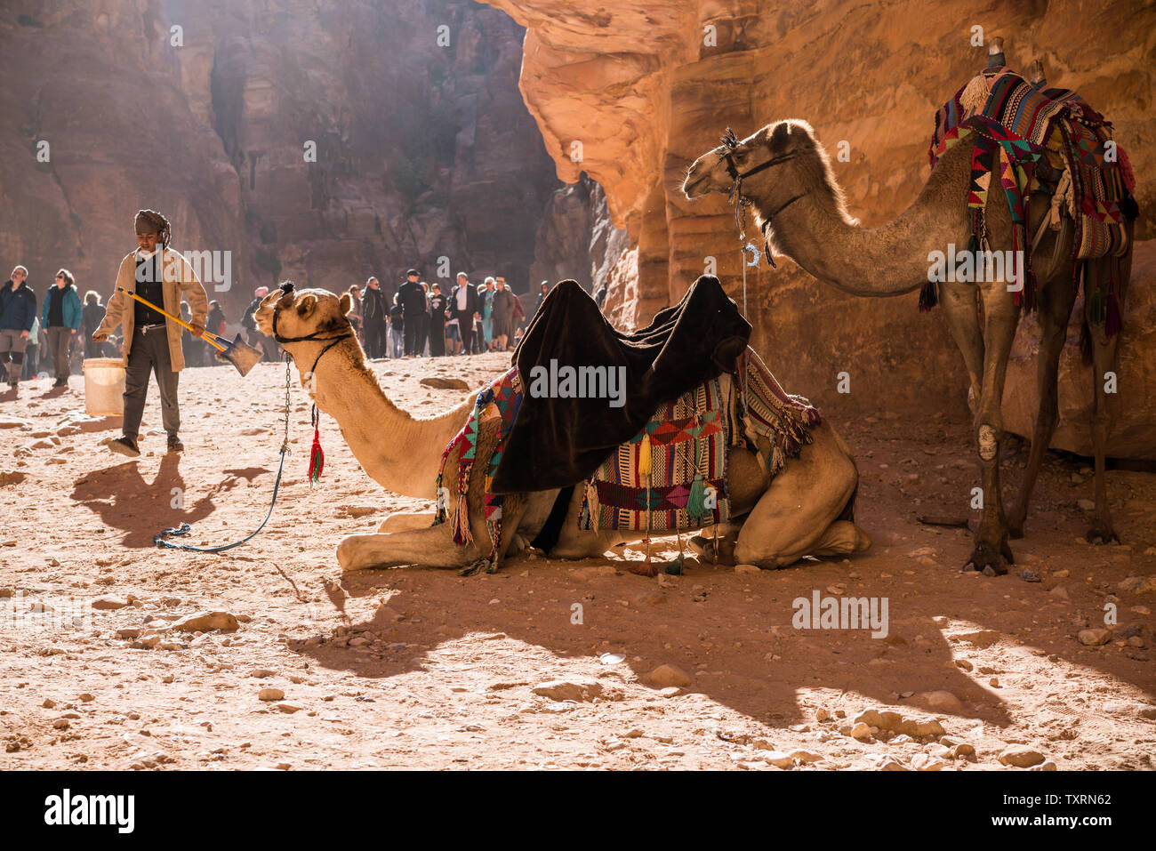 Local people in the Petra, Jordan Stock Photo - Alamy