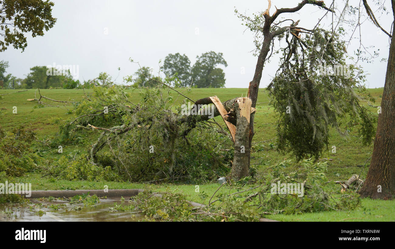 A tree splintered by a tornado is seen in the Sienna Plantation ...