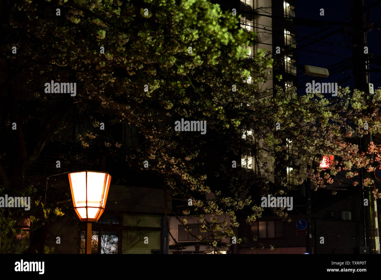 Kyoto, Japan street near Pontocho alley district at night with ...
