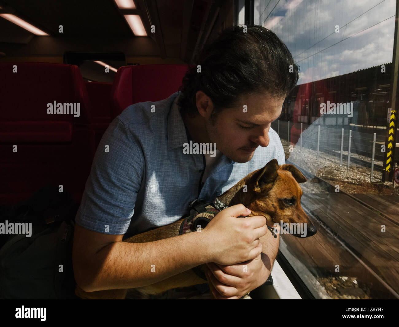 Dog driving train hi-res stock photography and images - Alamy