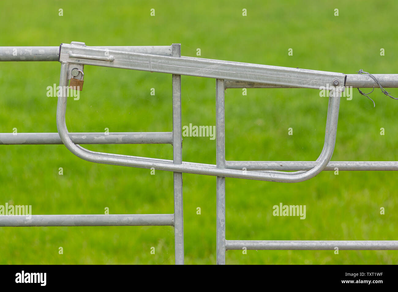 Bars of a closed metal gate to field with and over the top locking ...
