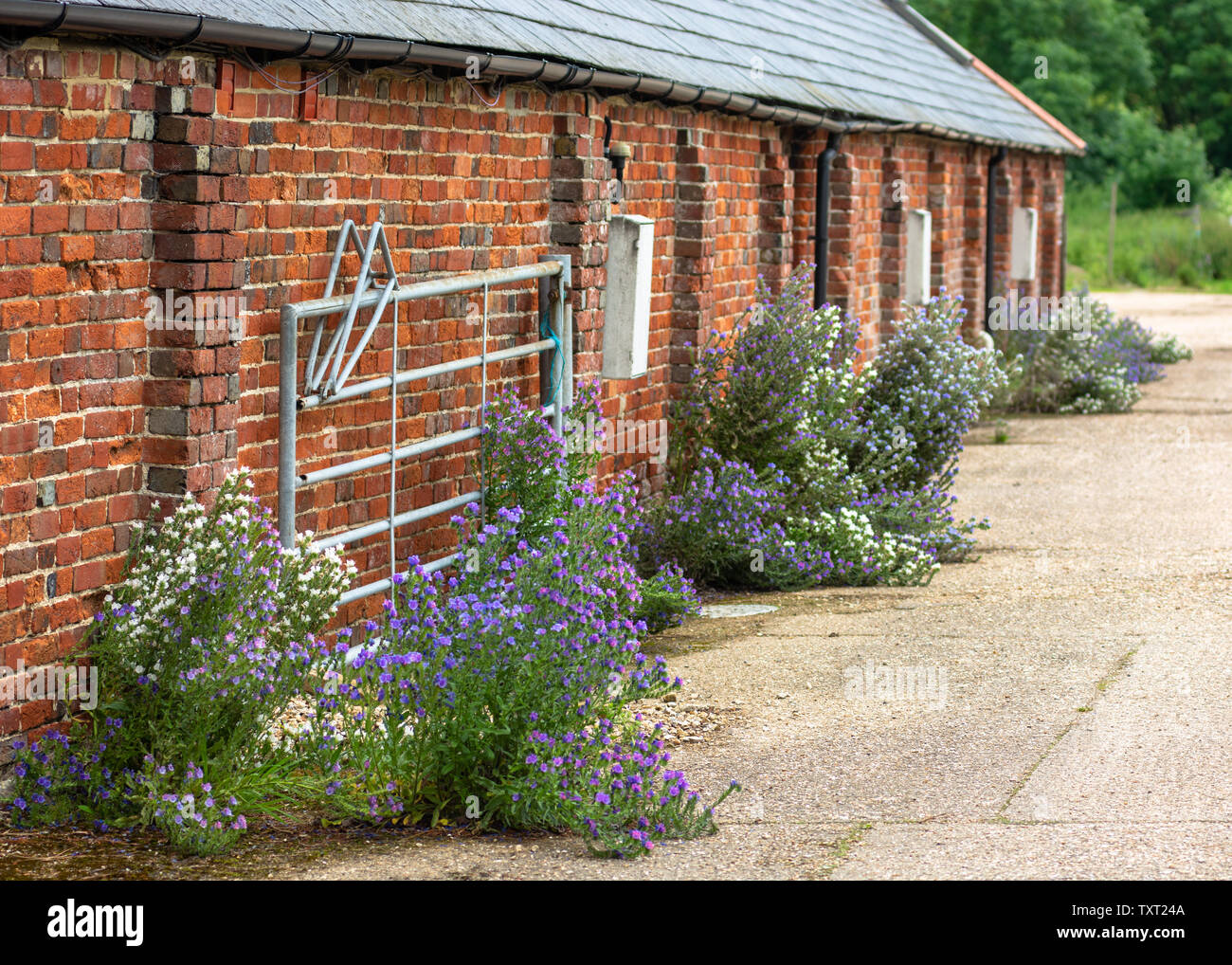 Converted farm building used for holiday lets Stock Photo - Alamy