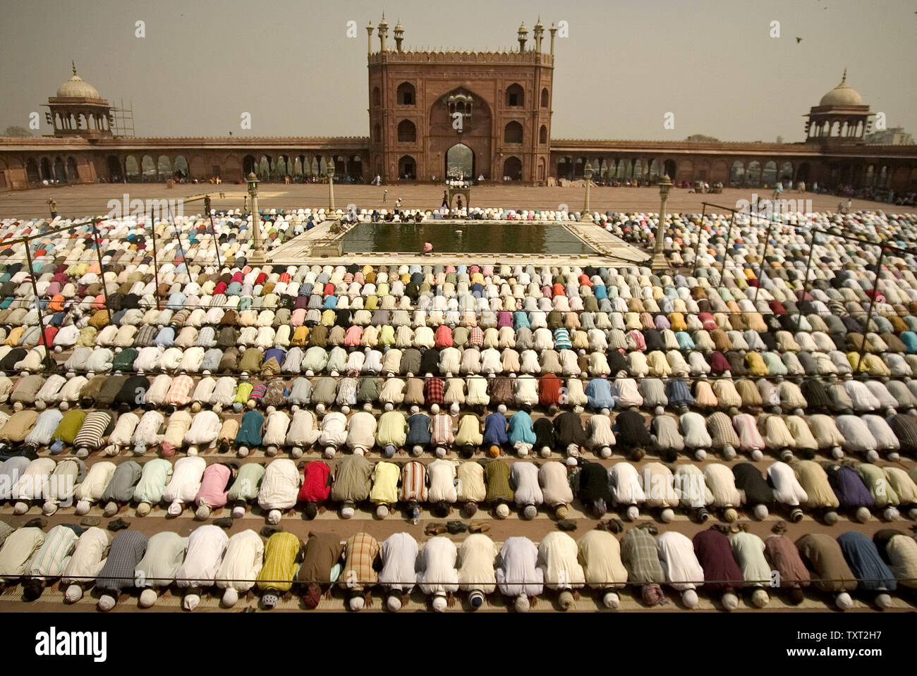 Indian Muslims pray during Friday prayers at Jame Masjid or Grand ...