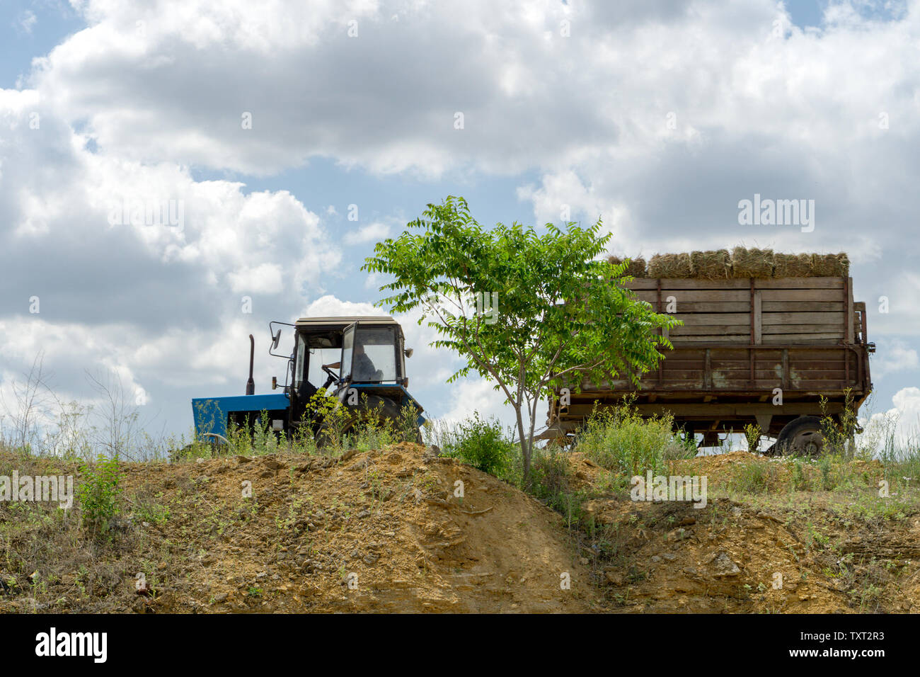 Blue tractor with hay in a trailer rides on the edge of a cliff Stock ...