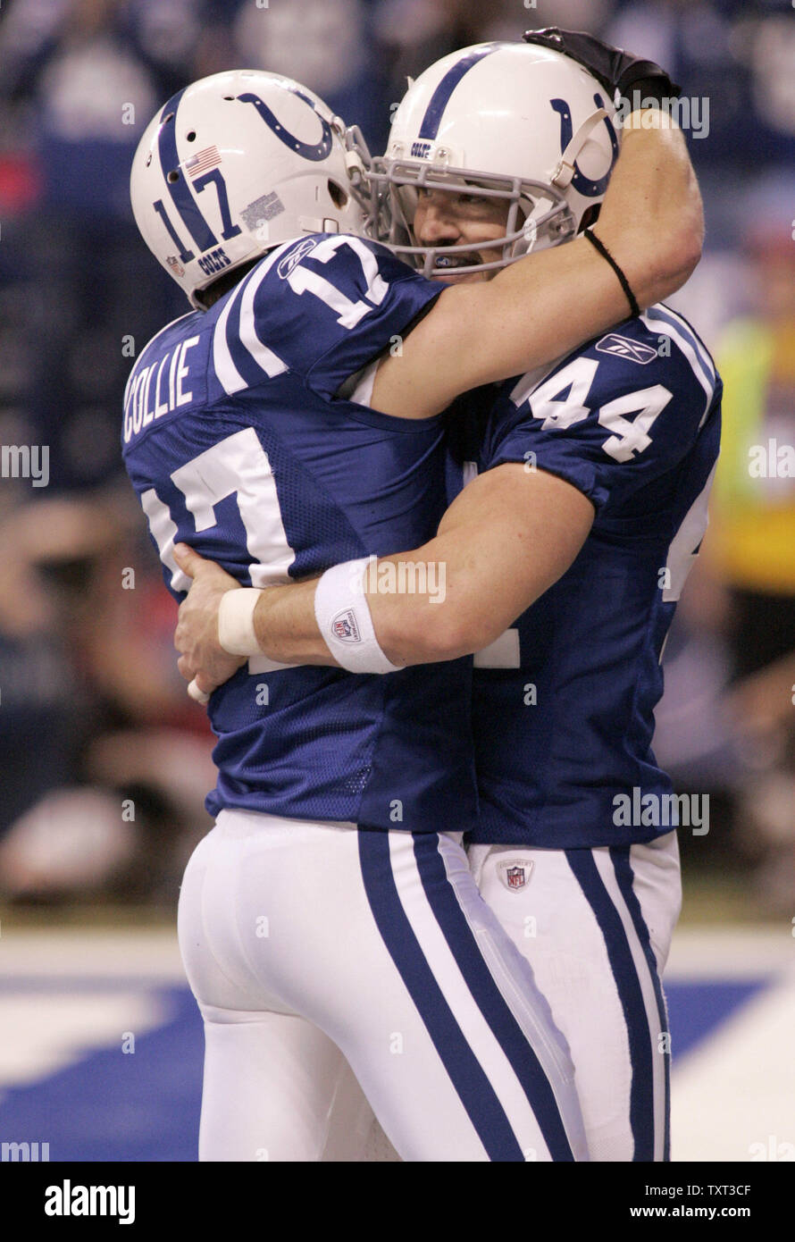 Tom collie hi-res stock photography and images - Alamy