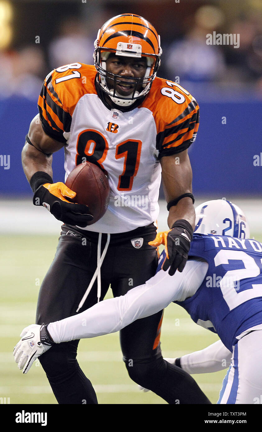 Terrell owens bengals hi-res stock photography and images - Alamy