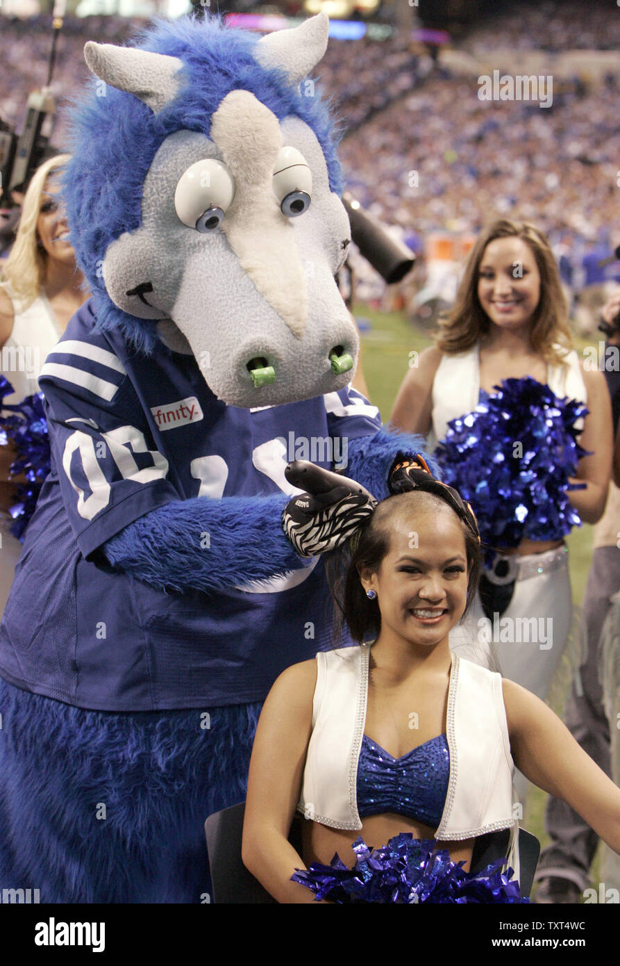 Colts cheerleader hi-res stock photography and images - Alamy