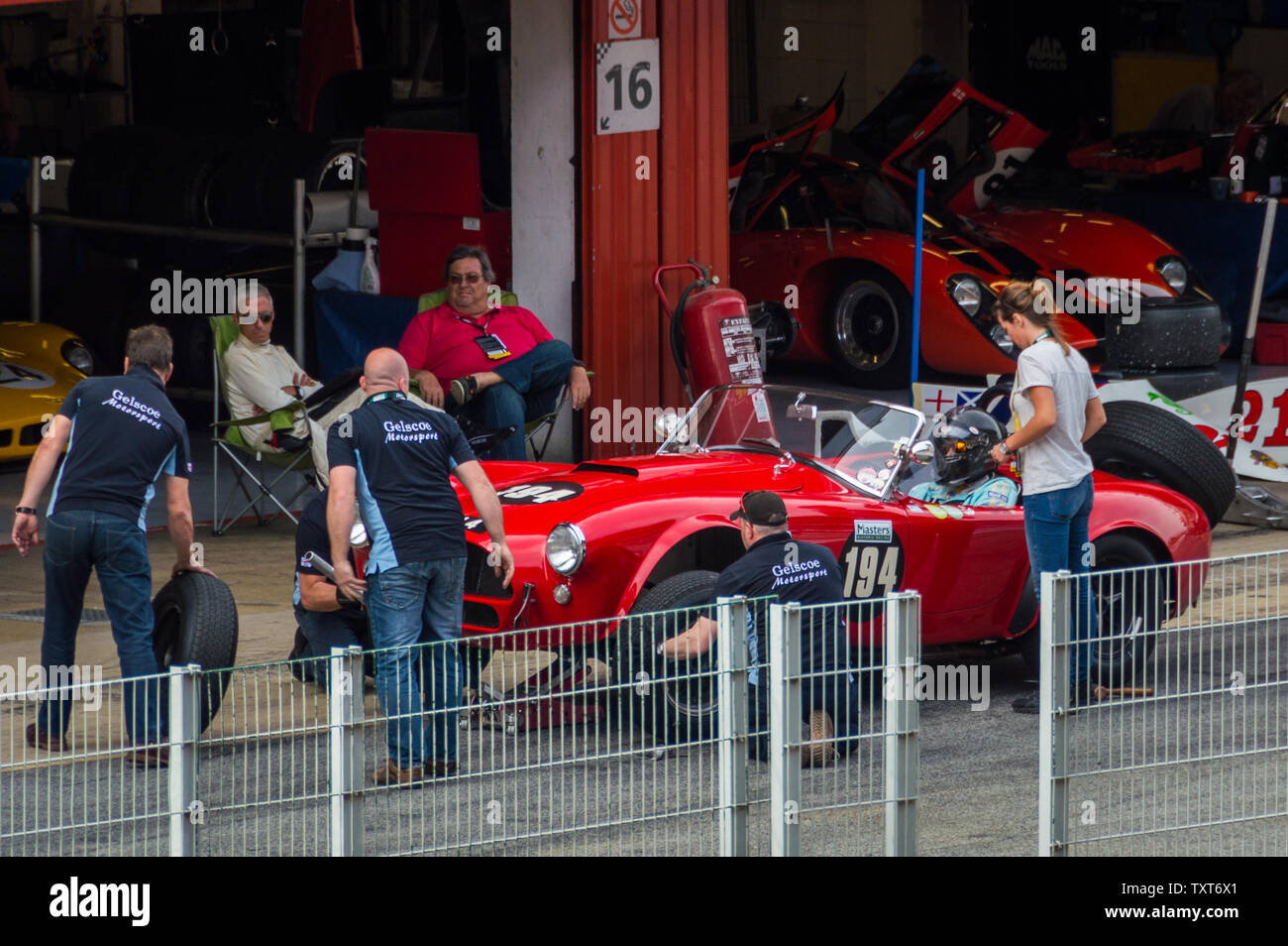 AC Cobra in Circuit de Barcelona, Catalonia, Spain Stock Photo - Alamy