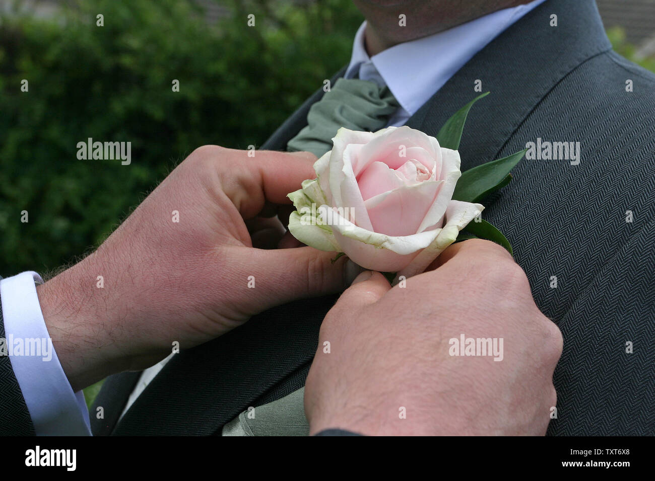 Best man buttonhole hi-res stock photography and images - Alamy