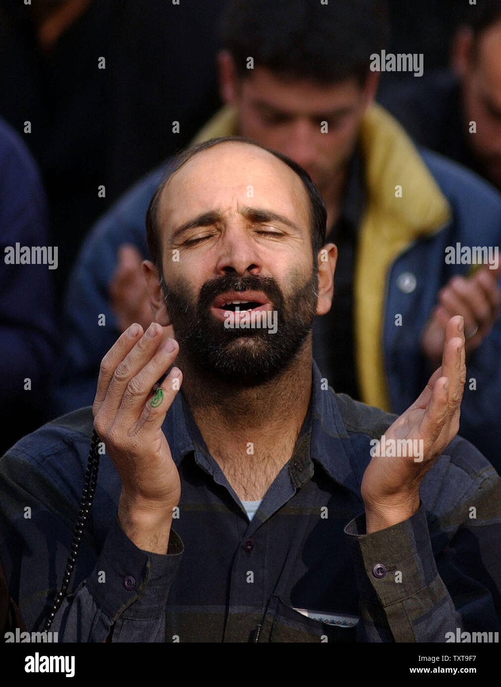 Iranian muslims take part in Friday prayers at the Tehran University ...