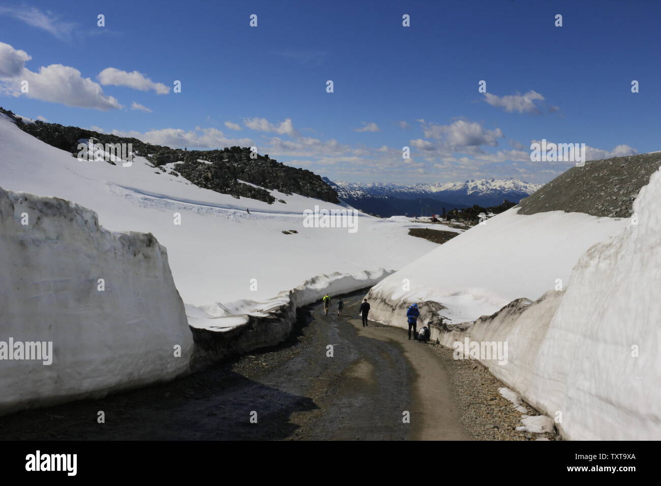 Snow covered trees and pathways in the Whistler and Black Comb Mountain ...