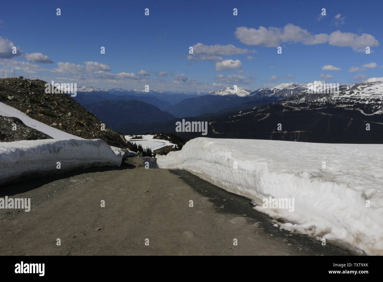 Snow covered trees and pathways in the Whistler and Black Comb Mountain ...