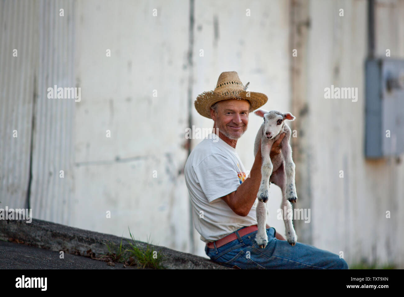 Mature farmer holding up lamb Stock Photo - Alamy