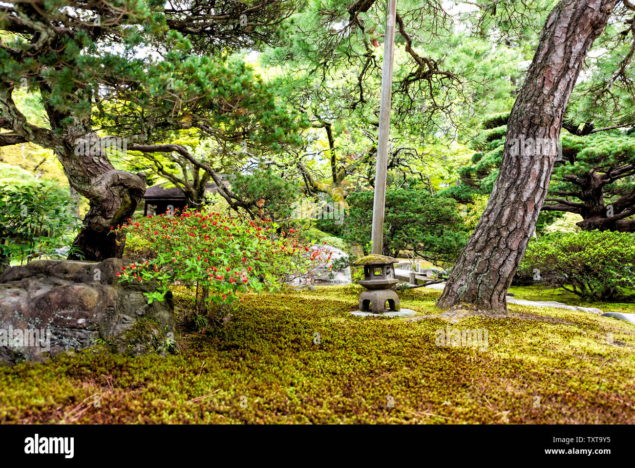Kyoto, Japan green moss spring garden in Imperial Palace architecture ...