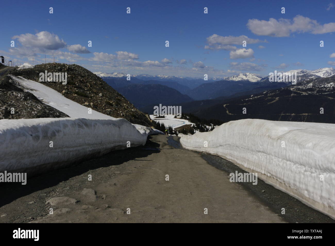 Snow covered trees and pathways in the Whistler and Black Comb Mountain ...